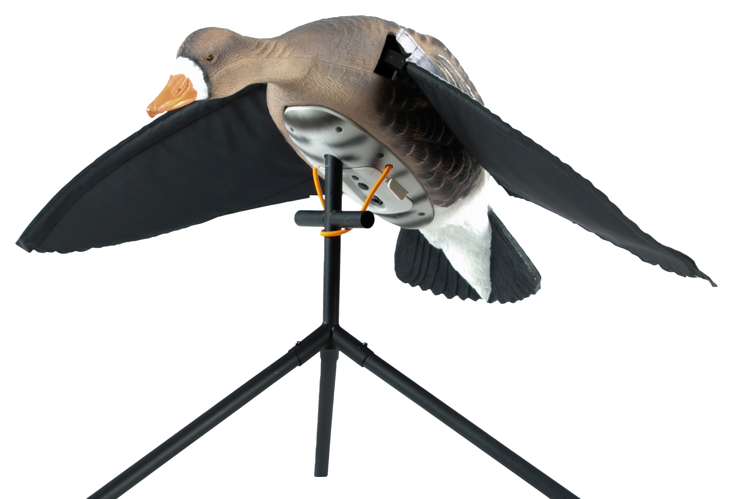 Lucky Duck Super Flapper HDi 2.0 Motorized Specklebelly Goose Decoy ...
